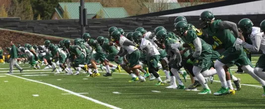 Recruiting Update: Spring Complete With Oregon Reign | FishDuck