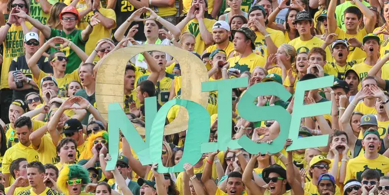 Pre-Game: How to Prepare for Game Day as Fans | FishDuck