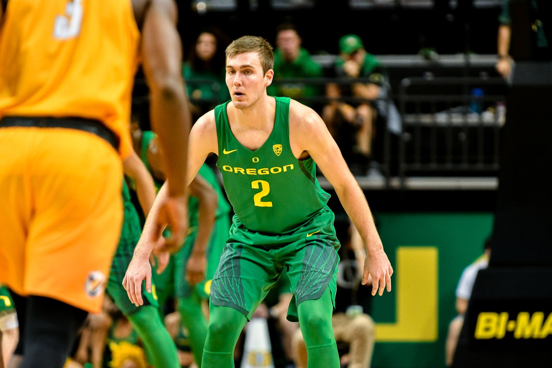 The Altman Era - Looking Ahead | FishDuck