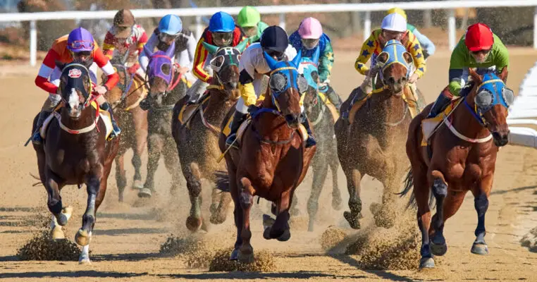 Finding Hidden Gems in Horse Racing History | FishDuck